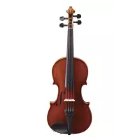 History of the Viola | The Instrument Place